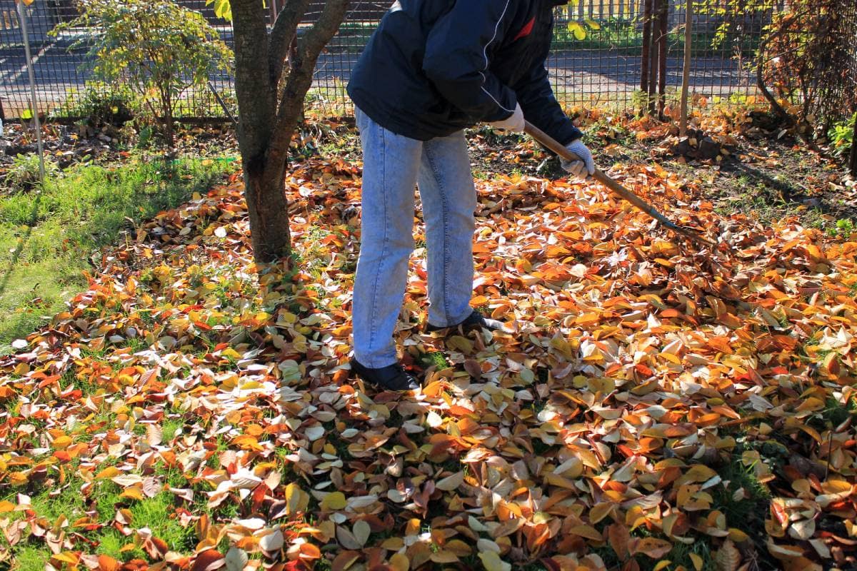 Fall Home Maintenance Checklist: Winterizing Your Home & Yard – Freeze ...
